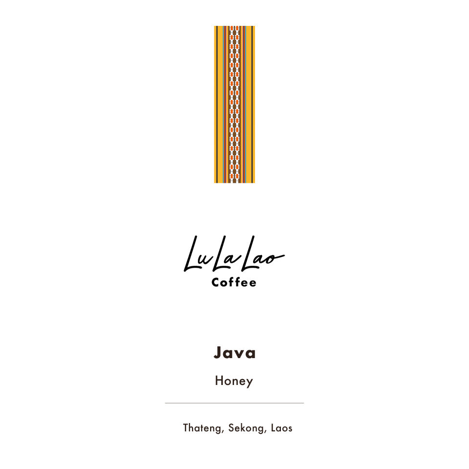[Sekong province] Java / Honey Process [焙煎豆] – LuLaLao Coffee